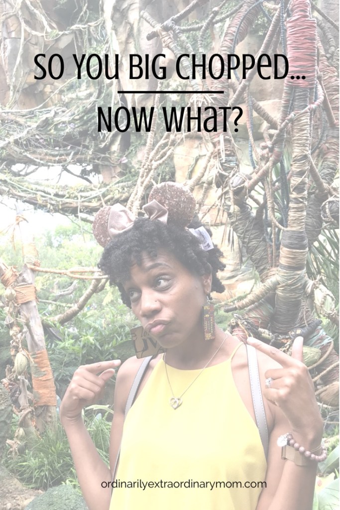 So You Big Chopped…Now What? – ordinarilyextraordinarymom