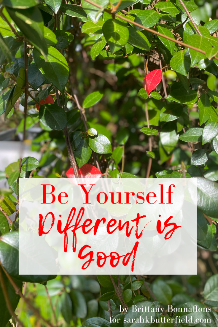 Be yourself. Different is good. – ordinarilyextraordinarymom