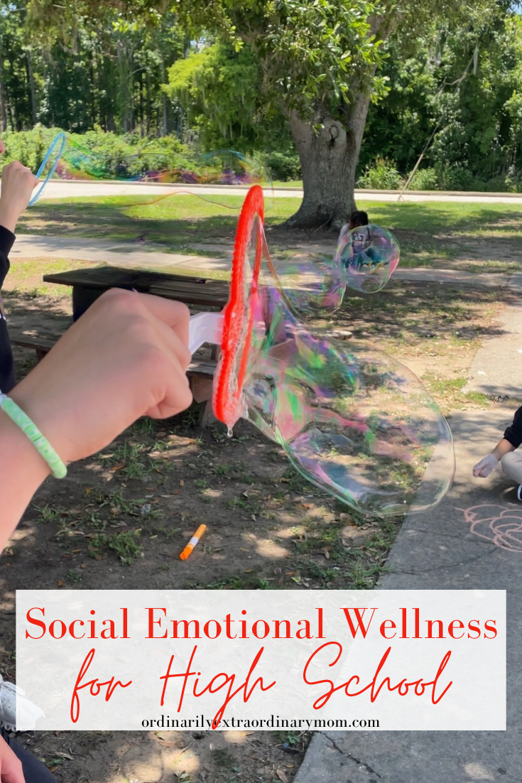 Social Emotional Wellness for High Schoolers – ordinarilyextraordinarymom